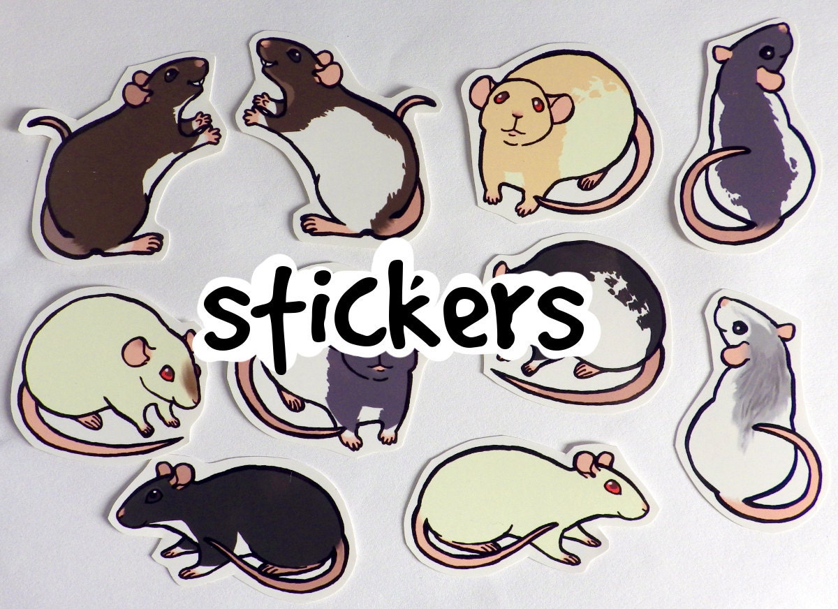 Cute Fancy Rat Stickers Pack of 8 to 10 Made to Order - Etsy