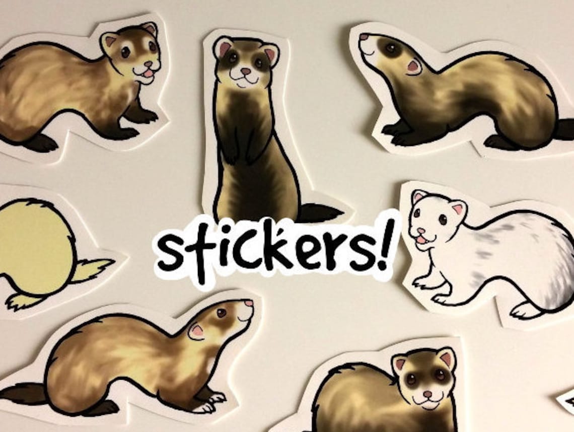 Cute Ferret Stickers Pack of 8 Custom Made to Order - Etsy
