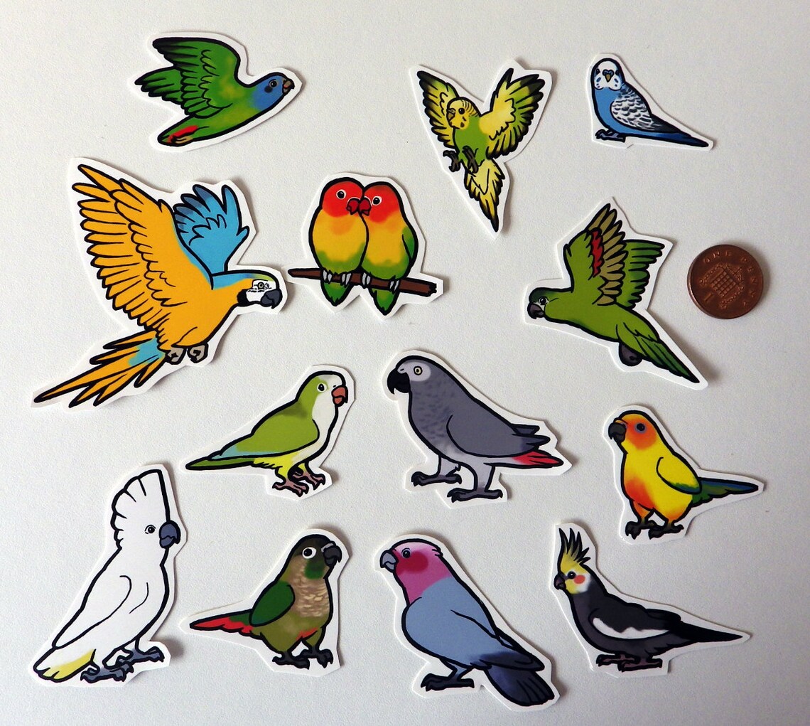 Parrot Sticker Assortment Supporting CT Parrot Rescue Made | Etsy