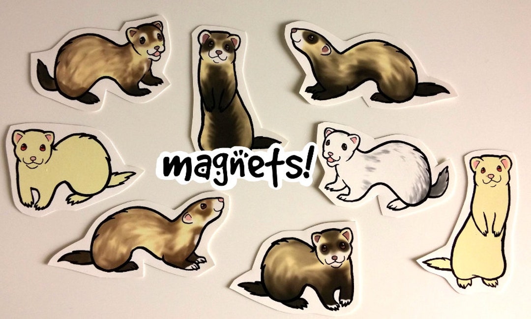 Cute Ferret Decorative Magnets Pack of 8 Custom Made to Order - Etsy