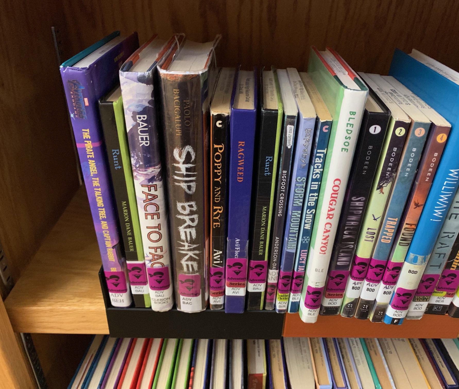 Stop the Pushback Middle Book Support for Library Shelves - Etsy