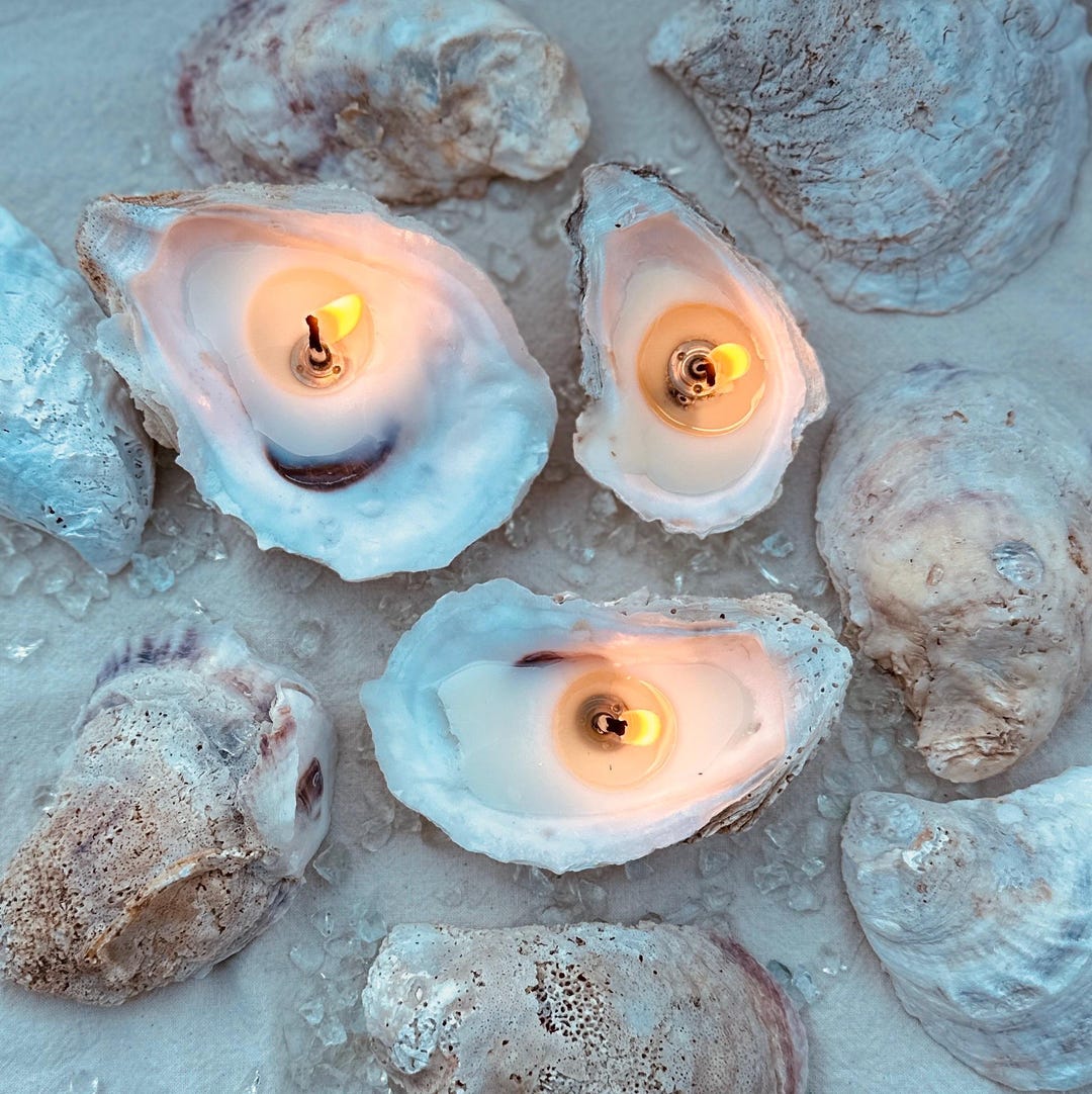 Natural Oyster Shell Candle Set of 3. Handmade Wedding Decor. Unique ...