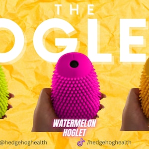 Hoglet Fidget Computer Mouse - Etsy