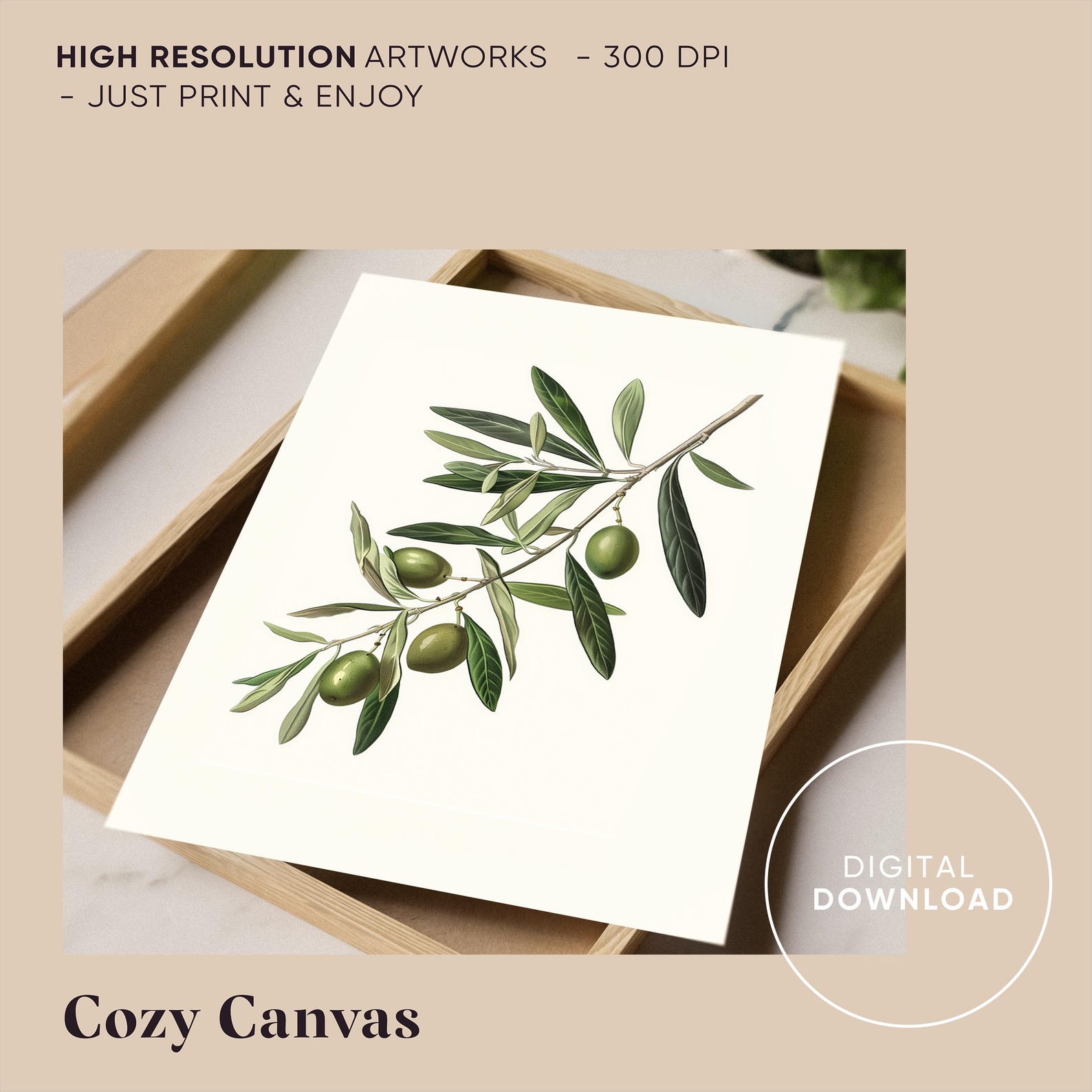 Olive Branch Art, Botanical Print, Vintage Wall Art, Kitchen Decor ...