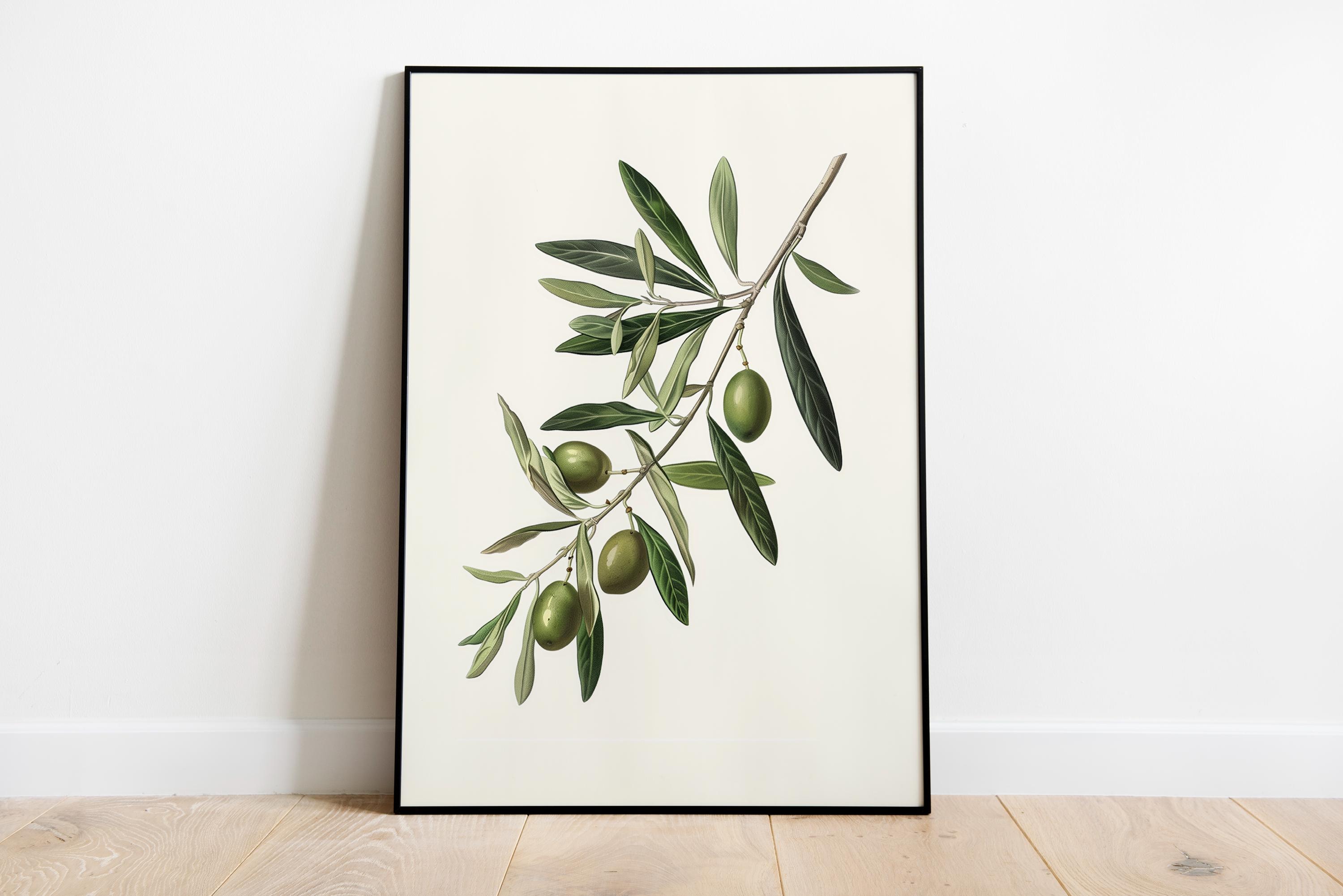 Olive Branch Art, Botanical Print, Vintage Wall Art, Kitchen Decor ...