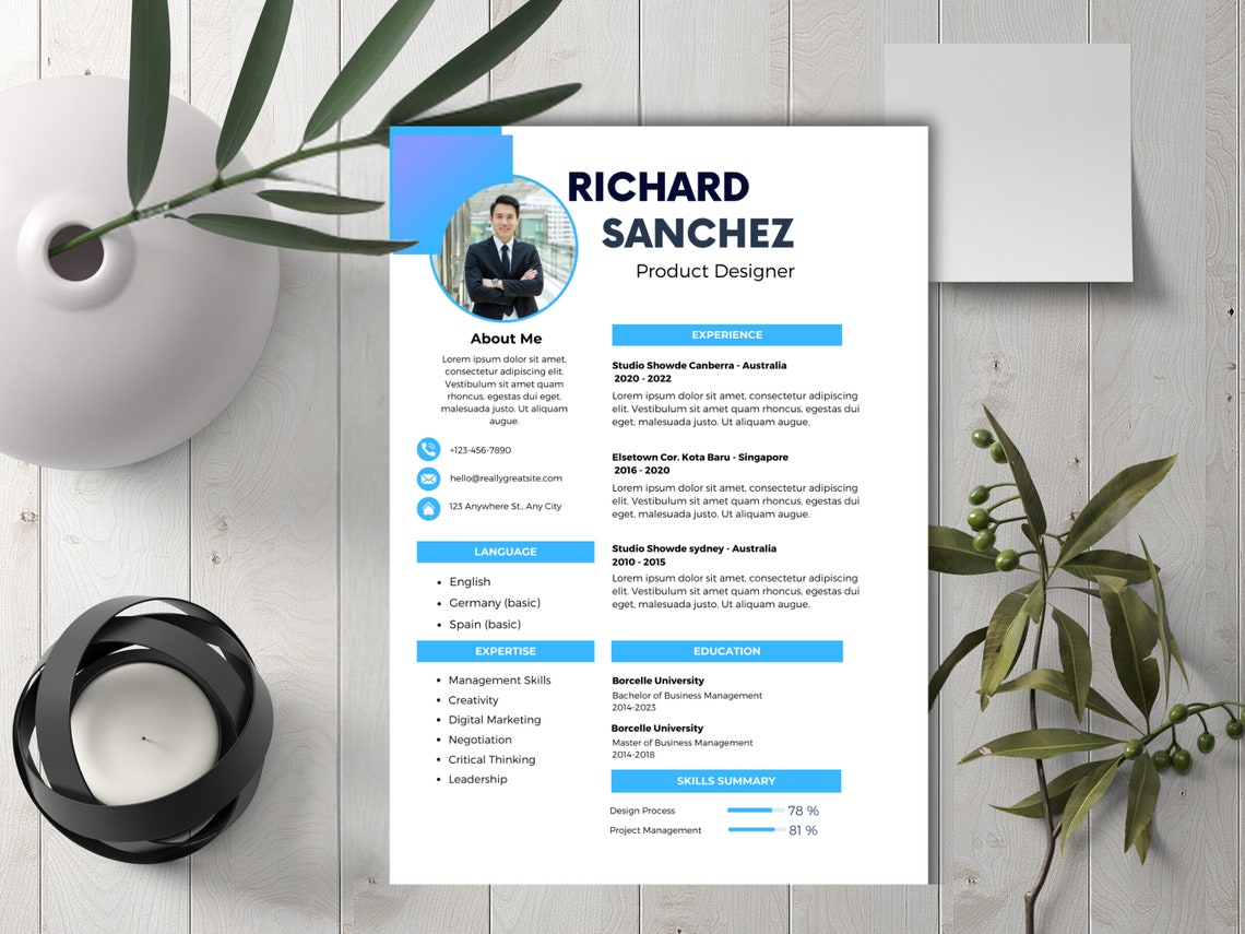 Professional Resume, Cv Template, Editable Template, Clean Layout, Job ...