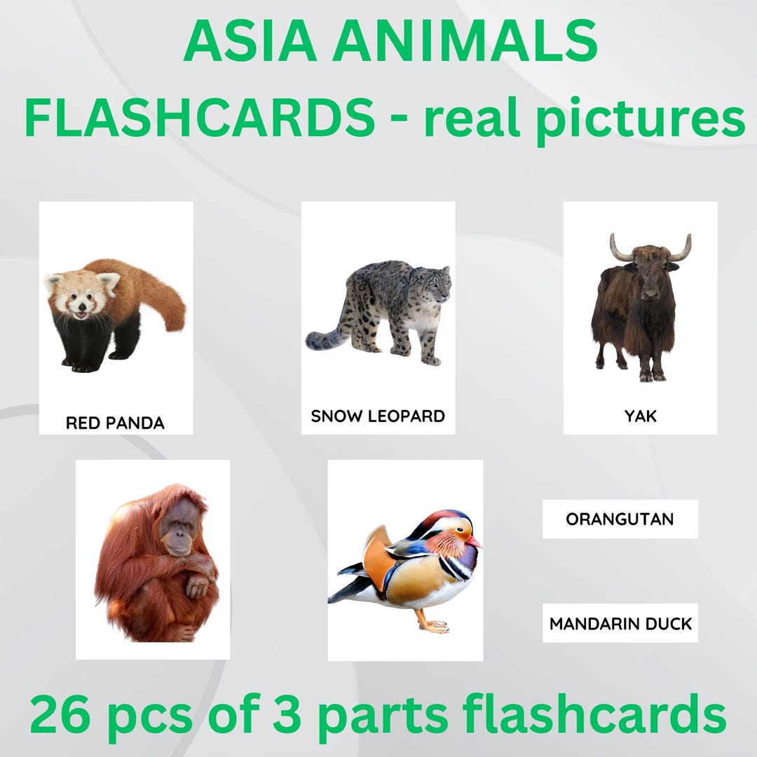 Montessori Asia Animals 3-part Cards – Continent Study Nomenclature ...