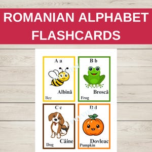 Bilingual Romanian Alphabet Flashcards: Learn Romanian (digital ...