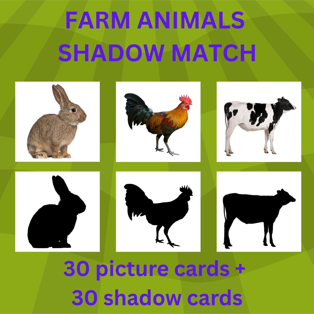 Farm Animal Shadow Match / Homeschool Printable / Preschool Printable ...