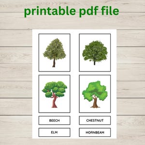 Montessori Tree Flashcards: 32 Printable Cards for ESL & Homeschool ...