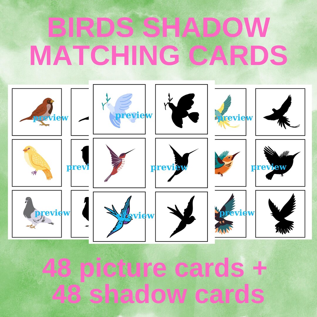 Birds Shadow Matching Cards / Fun Preschool Activity / Printable Game ...