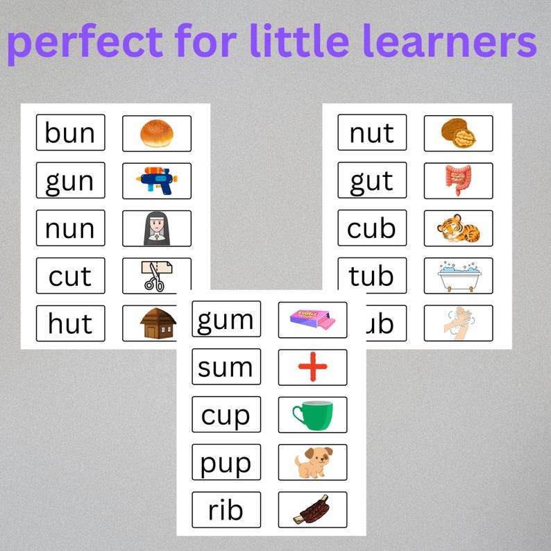 110 CVC Words Reading Printable / Montessori Phonics Cards ...