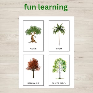 Tree Flashcards / Nomenclature Flashcards / PDF Printable Cards for ...