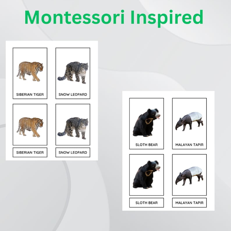 Asia Animals Flashcards / Montessori Cards / Nomenclature Flashcards ...