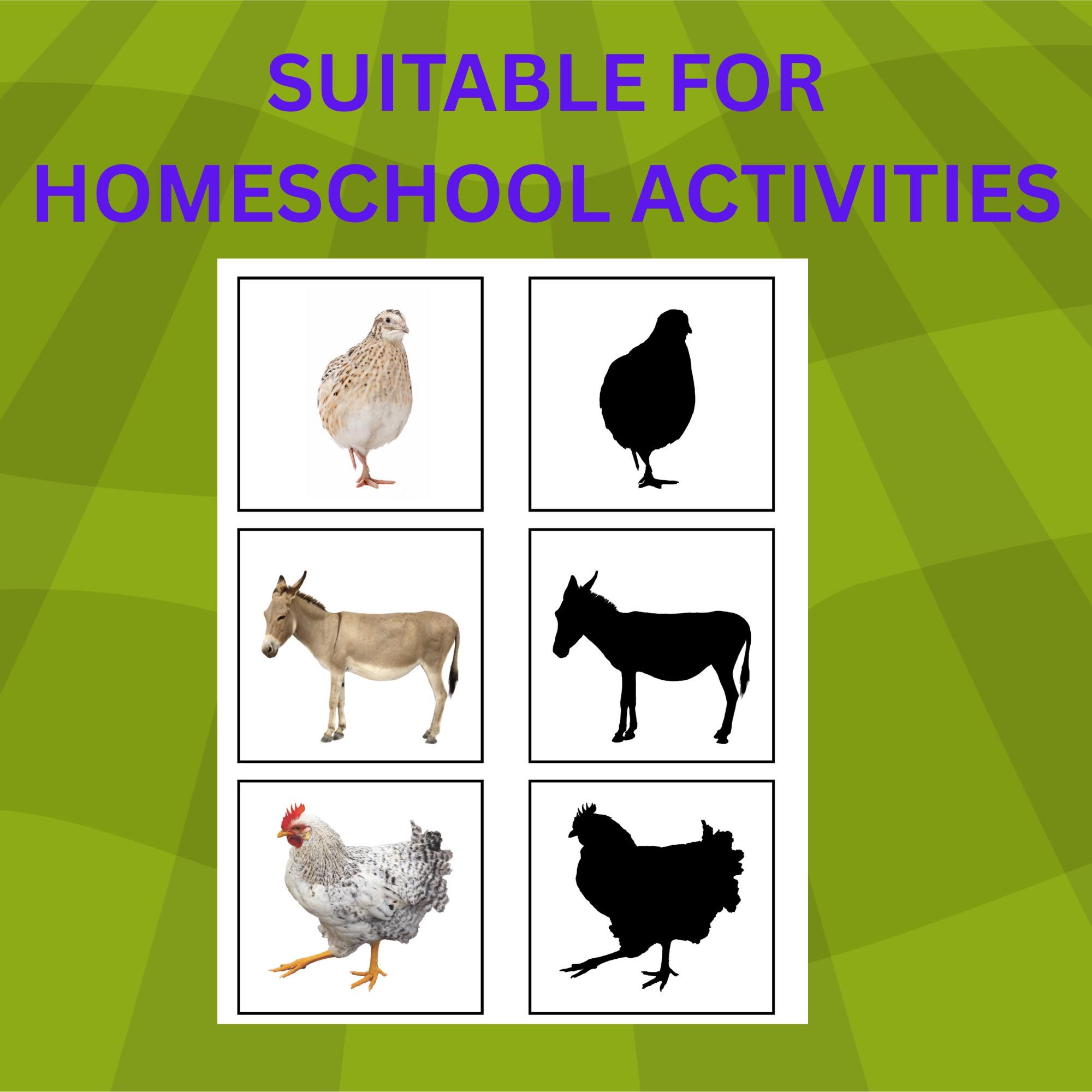Farm Animal Shadow Match / Homeschool Printable / Preschool Printable ...