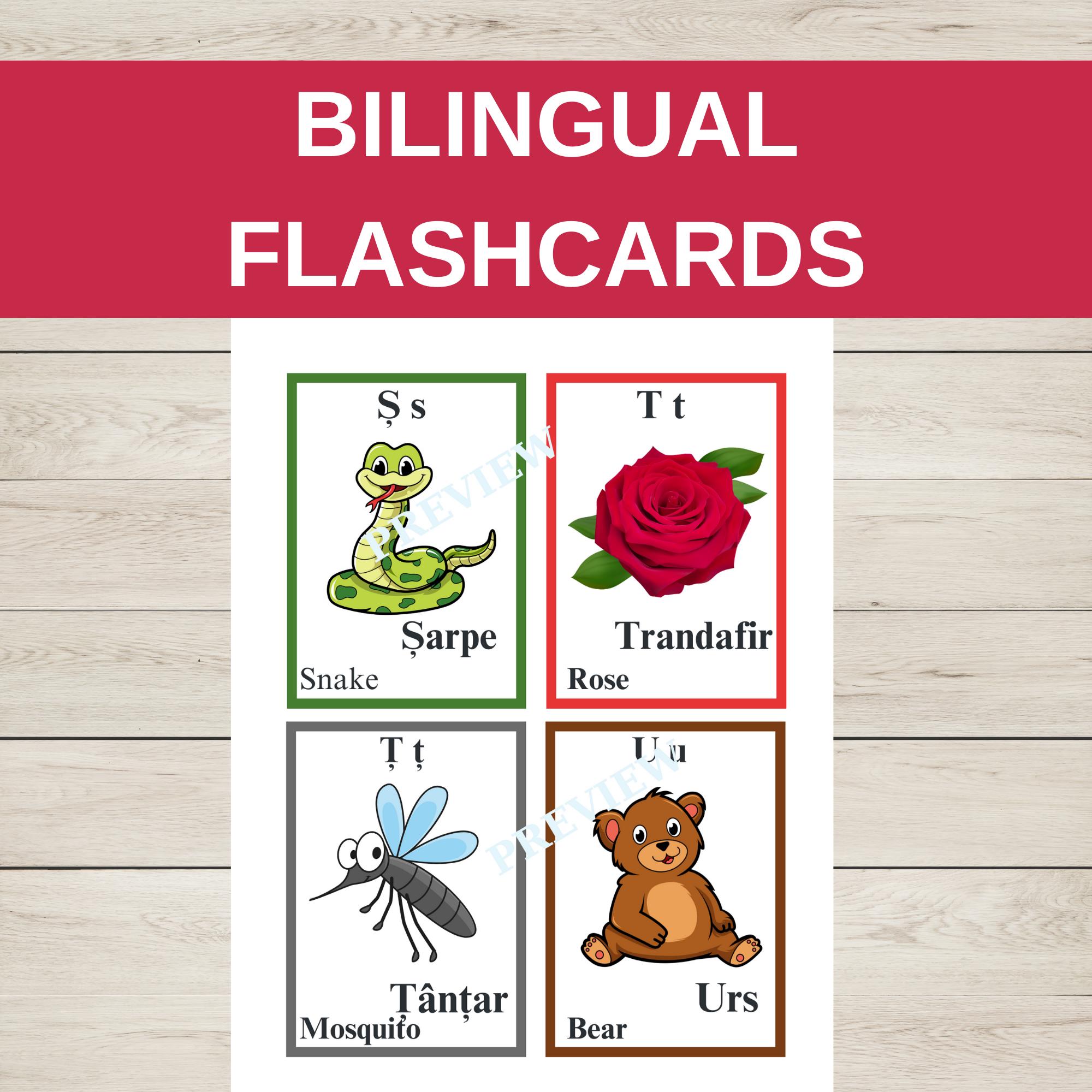 Bilingual Romanian Alphabet Flashcards / Printable Romanian Alphabet ...