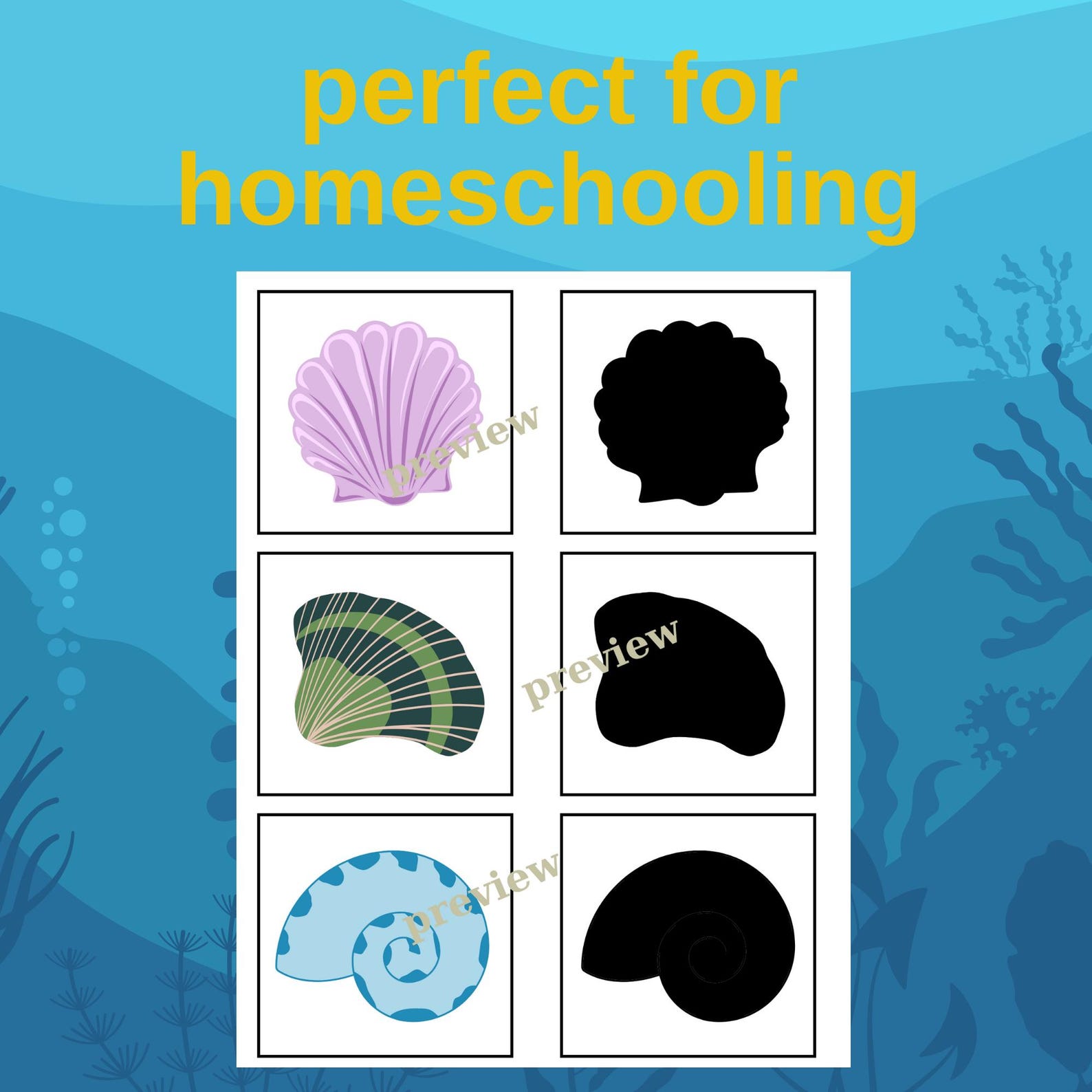 Seashell Shadow Matching Cards / Silhouette Matching / Toddler ...