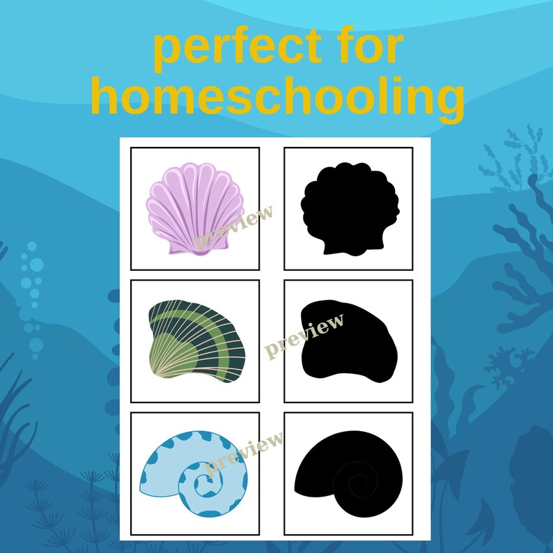 Seashell Shadow Matching Cards / Silhouette Matching / Toddler ...