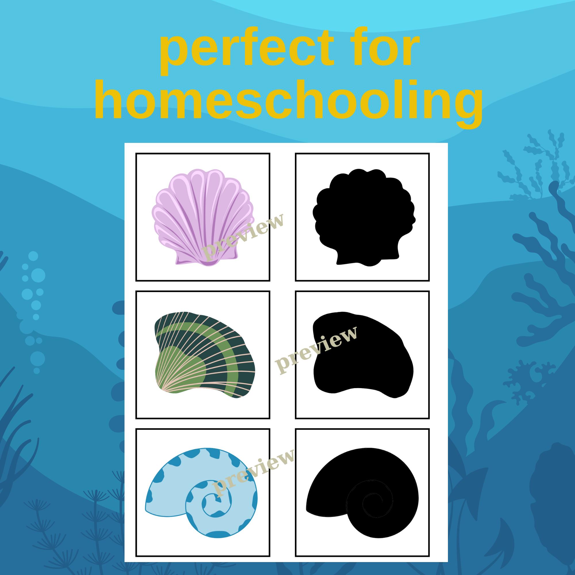 Seashell Shadow Matching Cards / Silhouette Matching / Toddler ...
