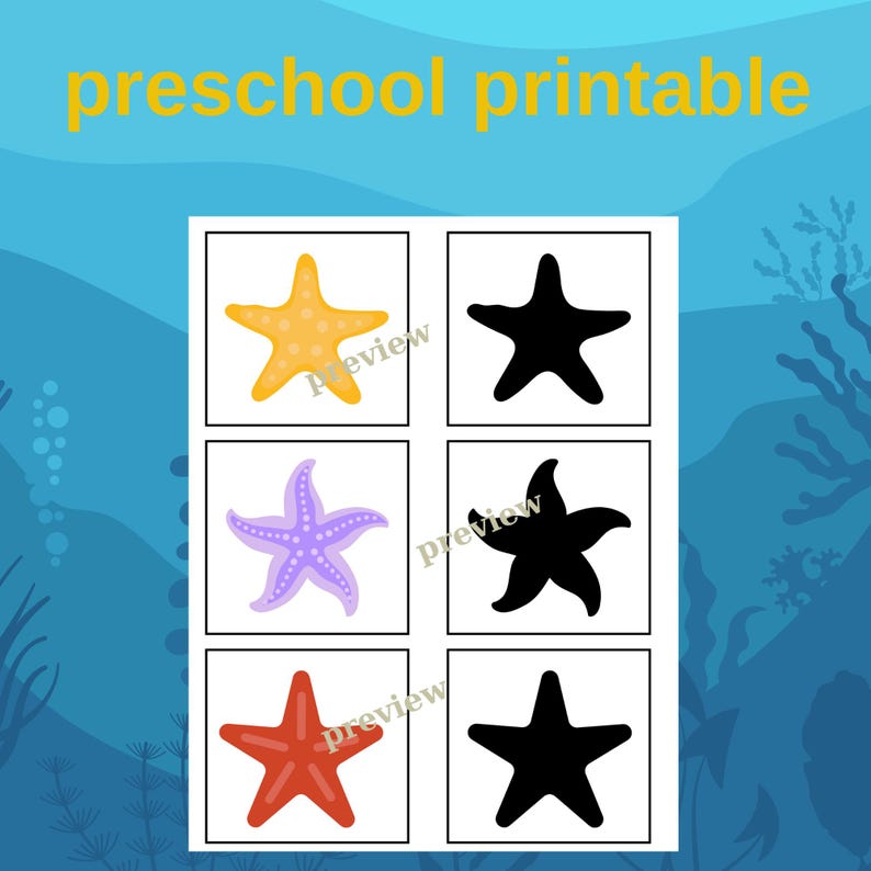 Seashell Shadow Matching Cards / Silhouette Matching / Toddler ...