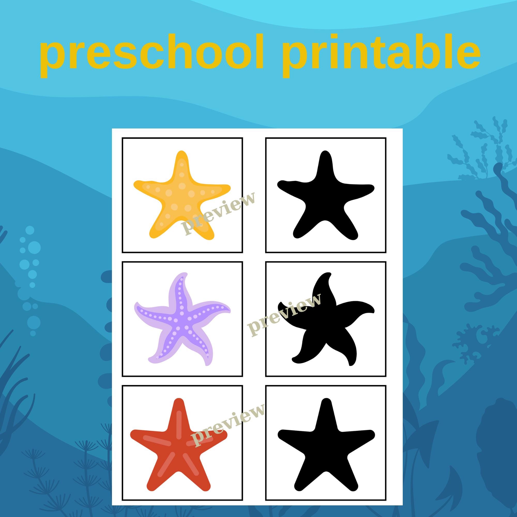Seashell Shadow Matching Cards / Silhouette Matching / Toddler ...