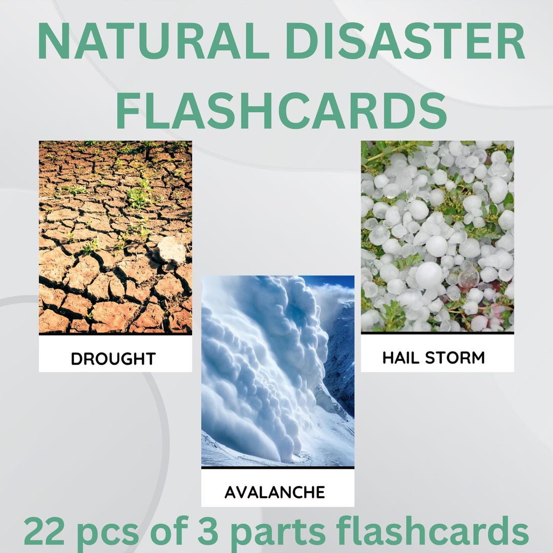 Printable Natural Disasters Flashcards / Types of Natural Disasters ...