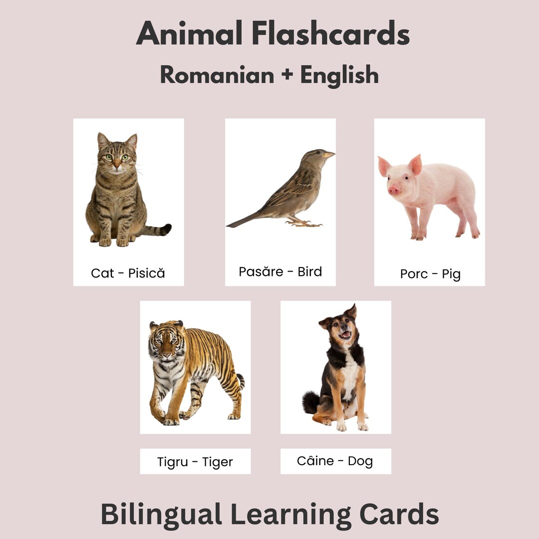 Romanian Animals Flashcards Printable, Bilingual Romanian English ...