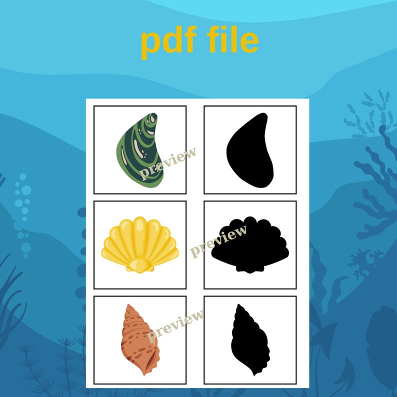 Seashell Shadow Matching Cards / Silhouette Matching / Toddler ...