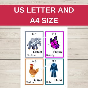 Bilingual Romanian Alphabet Flashcards: Learn Romanian (digital ...