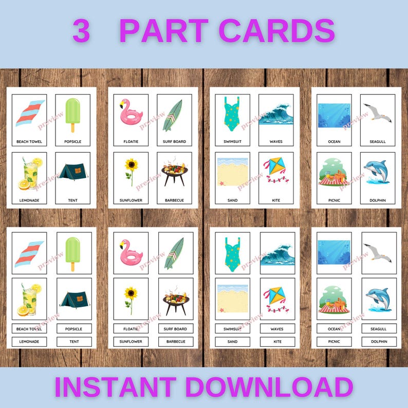Summer Flashcards for Toddlers: Montessori 3-part Cards (digital ...