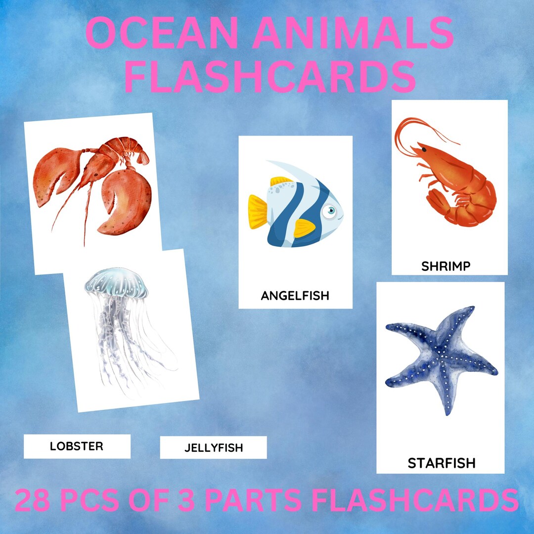 Ocean Animals Montessori Cards / Flash Cards Nomenclature / Pdf ...