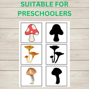 Mushroom Shadow Matching Game: Montessori Toddler Learning (PDF ...