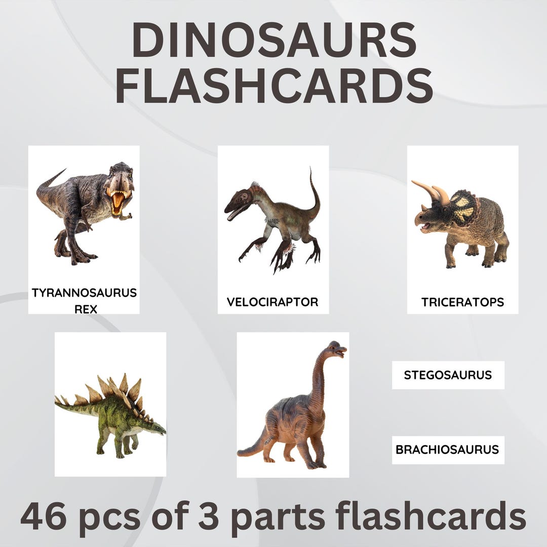 46 Dinosaur Flashcards / Kids Printable / Nomenclature Cards / Dinosaur ...