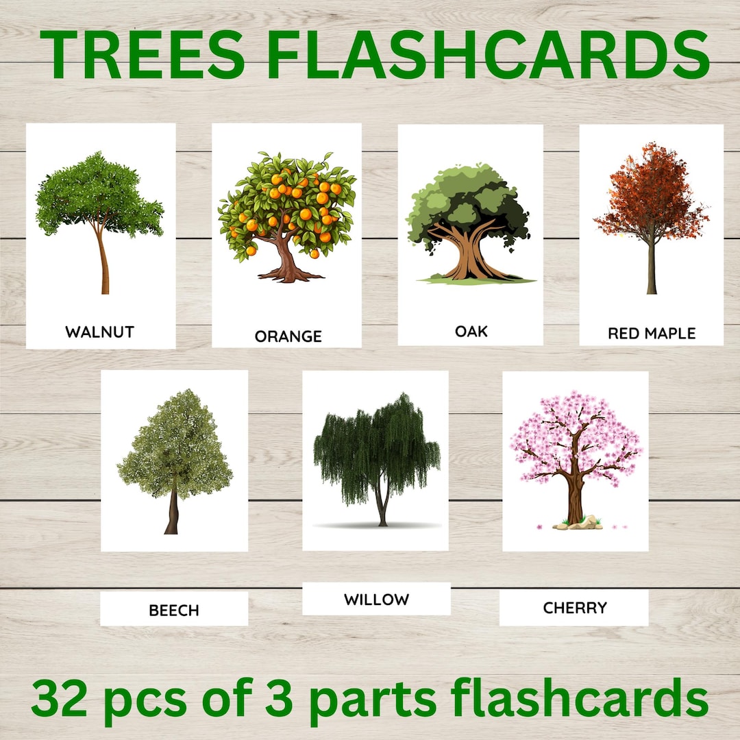 Tree Flashcards / Nomenclature Flashcards / PDF Printable Cards for ...