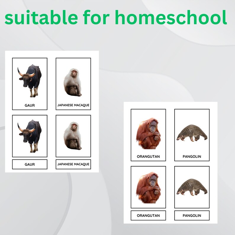 Asia Animals Flashcards / Montessori Cards / Nomenclature Flashcards ...