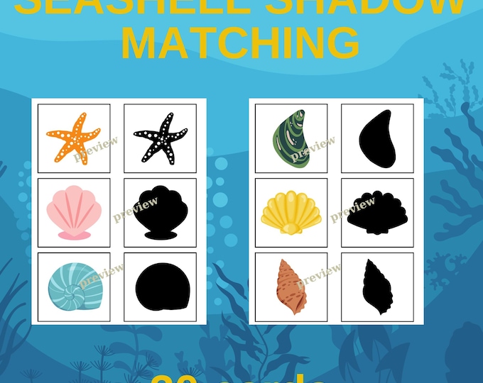 Seashell Shadow Matching Cards. Montessori Preschool Ocean Printable ...