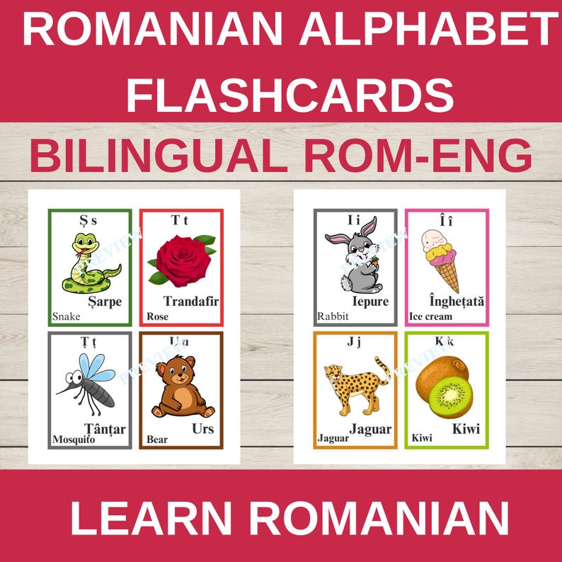 Bilingual Romanian Alphabet Flashcards: Learn Romanian (digital ...