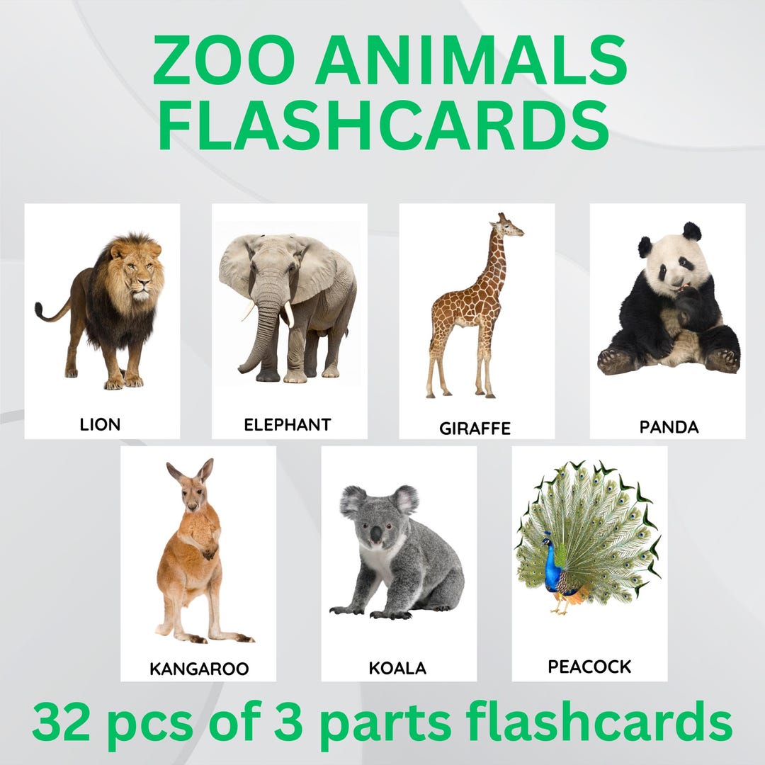 32 Zoo Animals Flashcards / Homeschool Printable / Nomenclature Cards ...