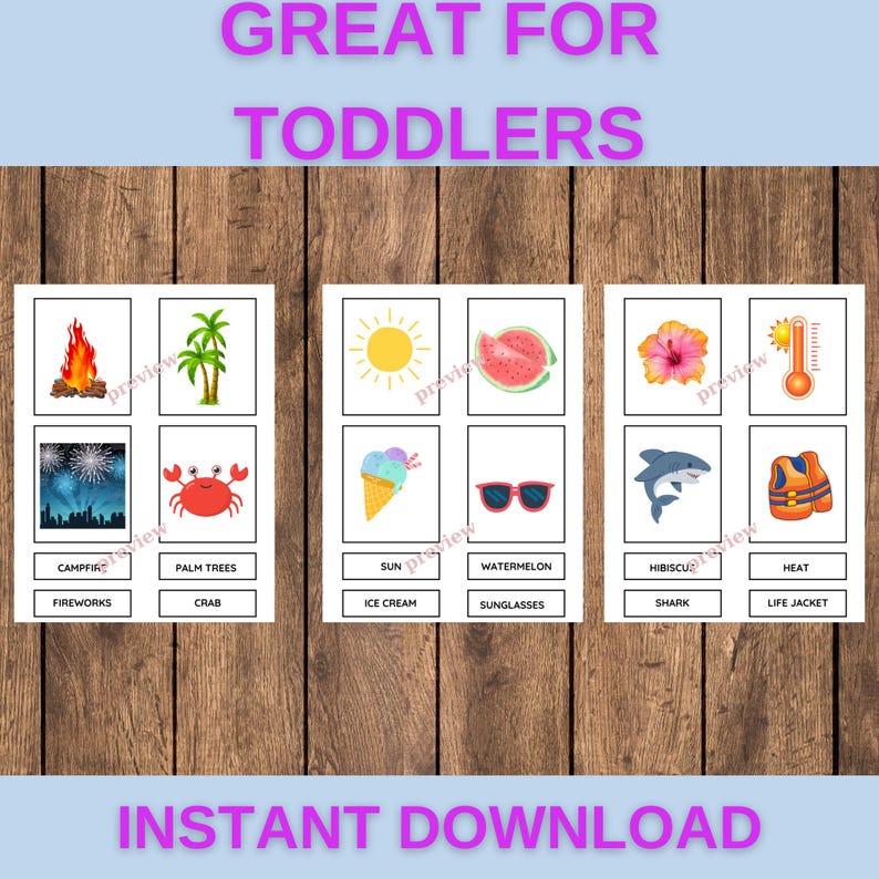Summer Flashcards for Toddlers: Montessori 3-part Cards (digital ...