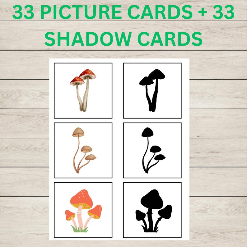 Mushroom Shadow Matching Game: Montessori Toddler Learning (PDF ...