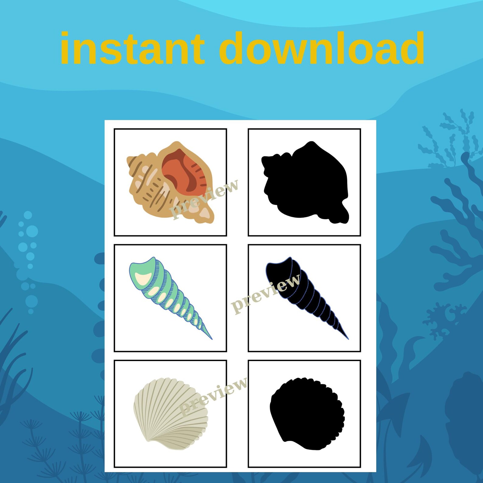 Seashell Shadow Matching Cards / Silhouette Matching / Toddler ...