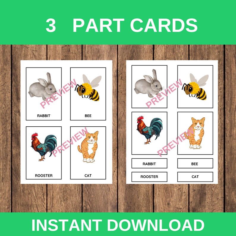 Montessori Farm Animals Flashcards / Toddler Learning / Preschool ...
