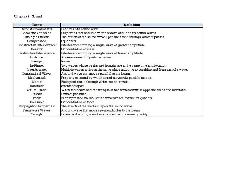 Ultrasound Key Terms and Definitions - Edelman Chapters 1-24 - Etsy