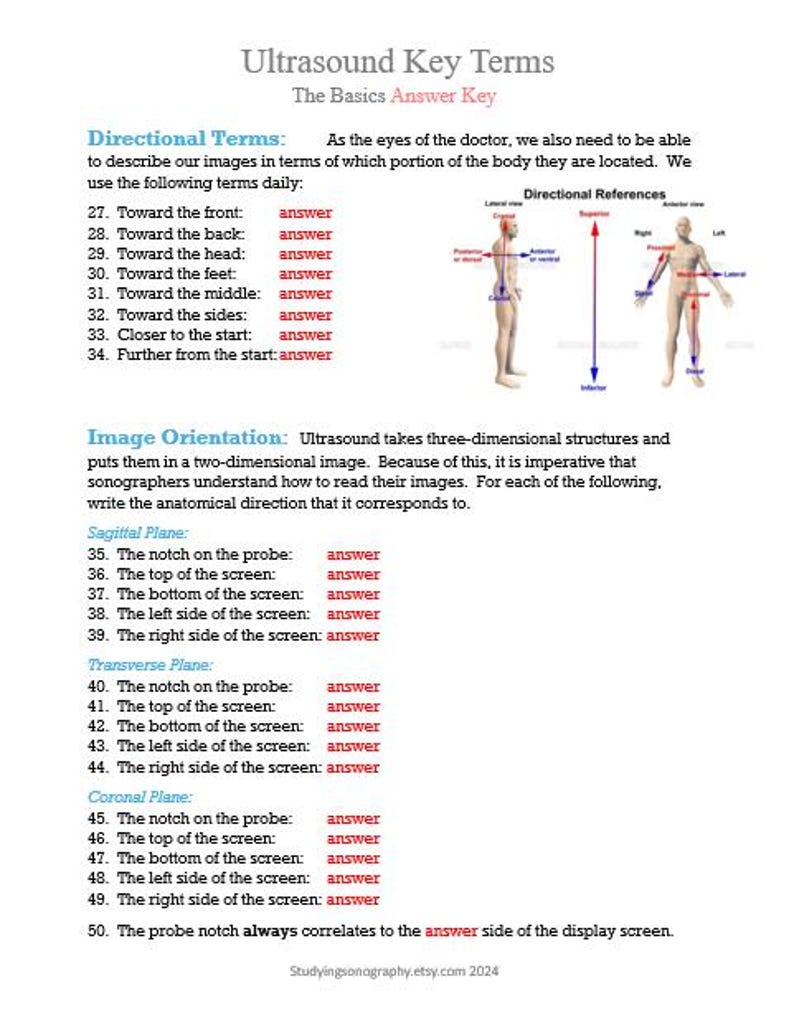 Ultrasound Basic Key Terms Study Document (blank and Answer Key) - Etsy