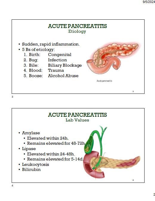 Pancreas Packet - Anatomy, Physiology, Pathologies, and Scanning ...
