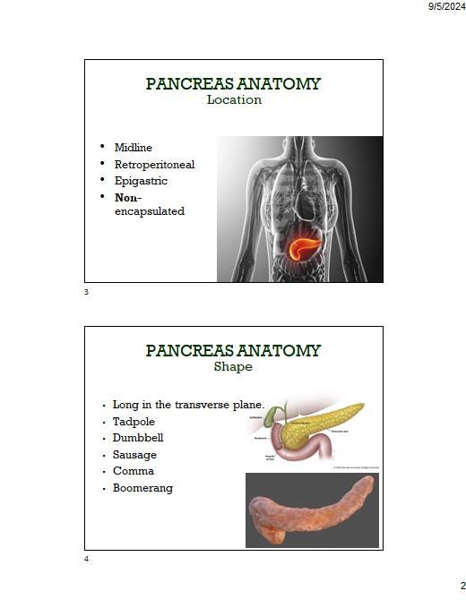 Pancreas Packet - Anatomy, Physiology, Pathologies, and Scanning ...