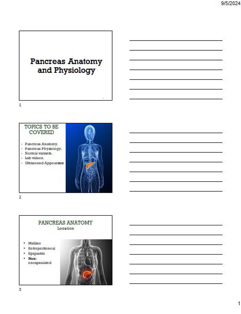 Pancreas Packet - Anatomy, Physiology, Pathologies, and Scanning ...