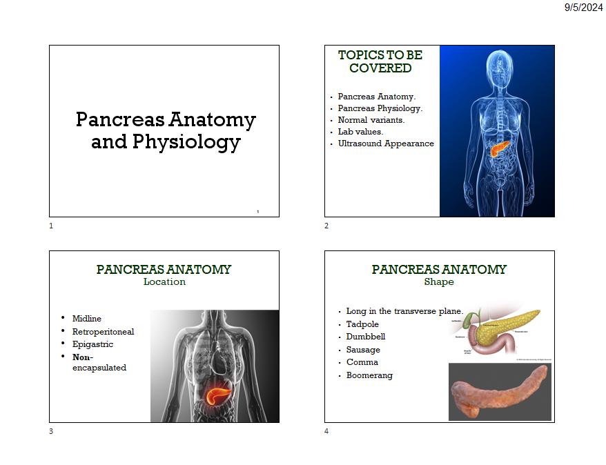 Pancreas Packet - Anatomy, Physiology, Pathologies, and Scanning ...