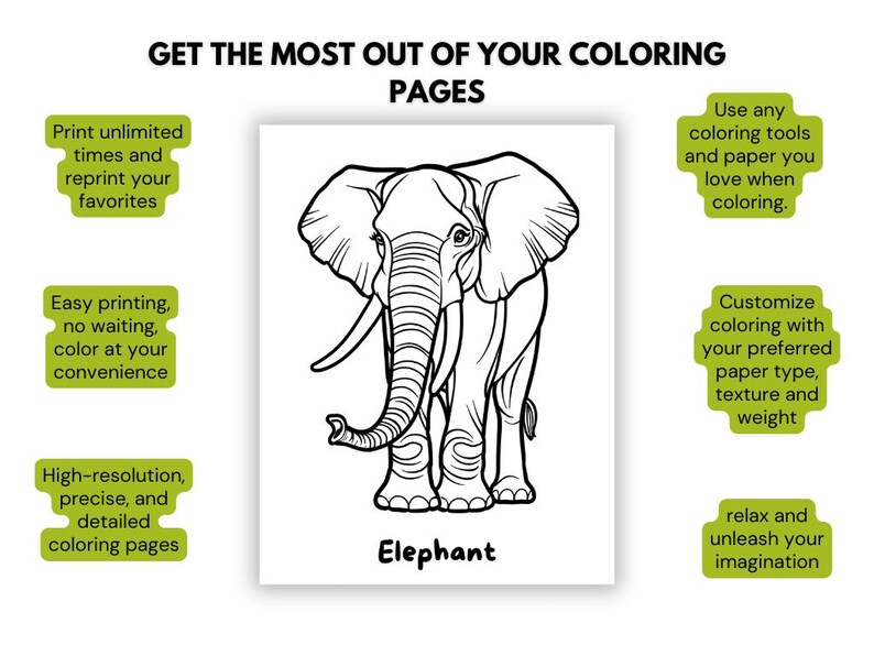 A Coloring Adventure, Kingdom of Animals, Coloring Book, Instant ...