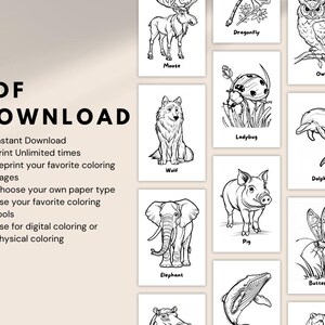 A Coloring Adventure, Kingdom of Animals, Coloring Book, Instant ...